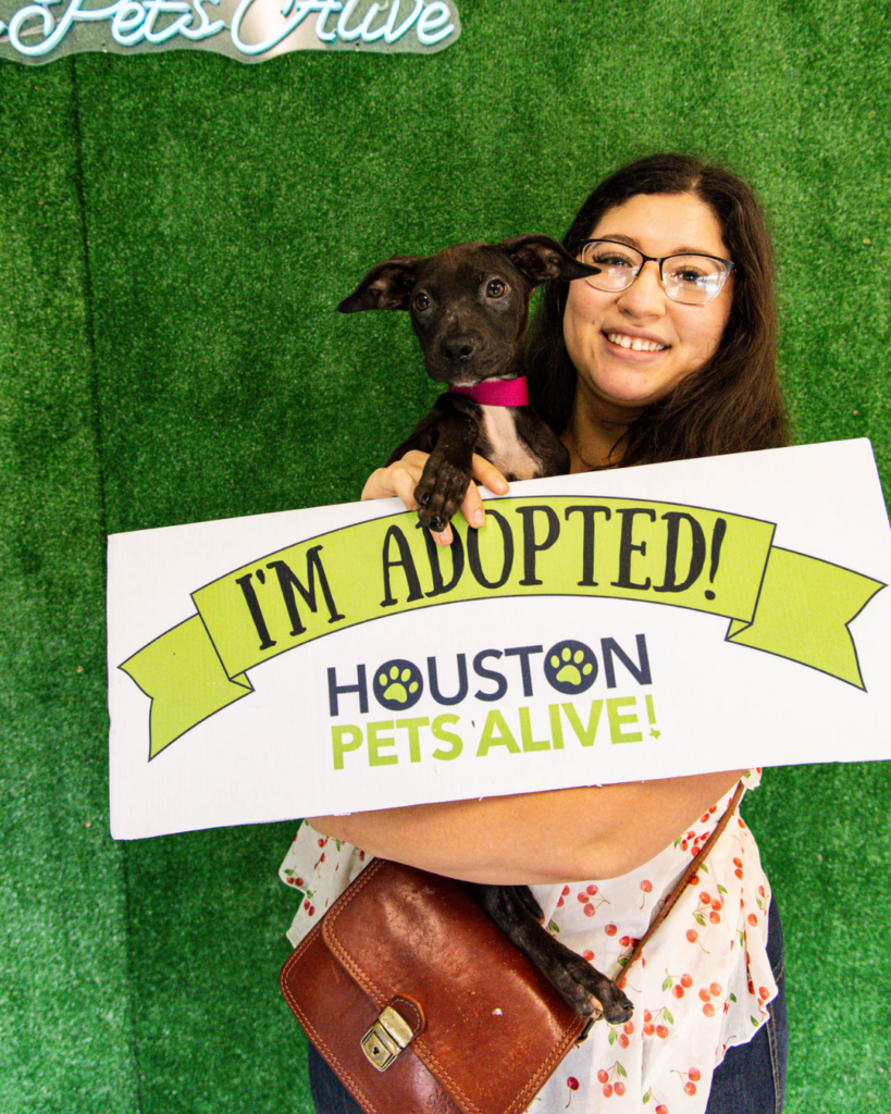 Mini Pop Up Dog Adoption Event at PetSmart! - Houston Pets Alive!
