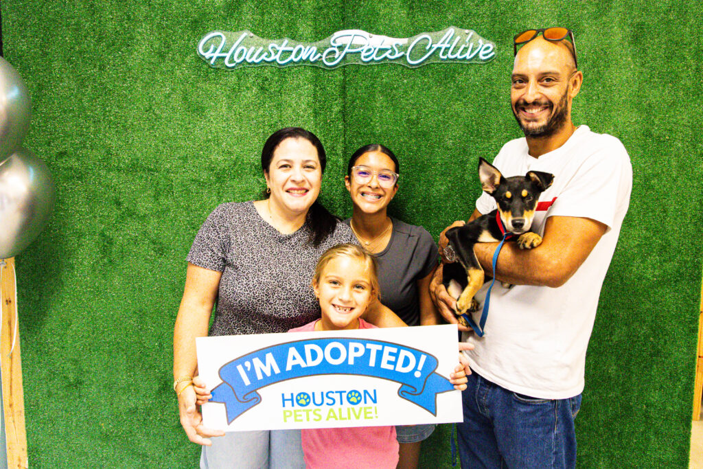 Adopt-a-Palooza | Houston Pets Alive!
