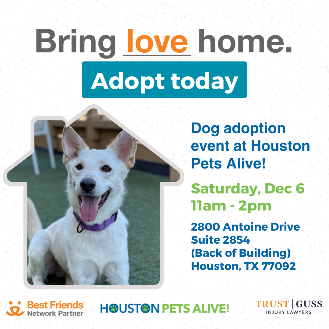 BRING LOVE HOME! Dog Adoption Event! - Houston Pets Alive!