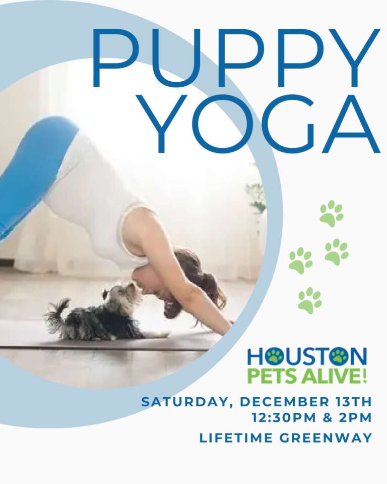 Puppy Yoga with Life Time Greenway! - Houston Pets Alive!