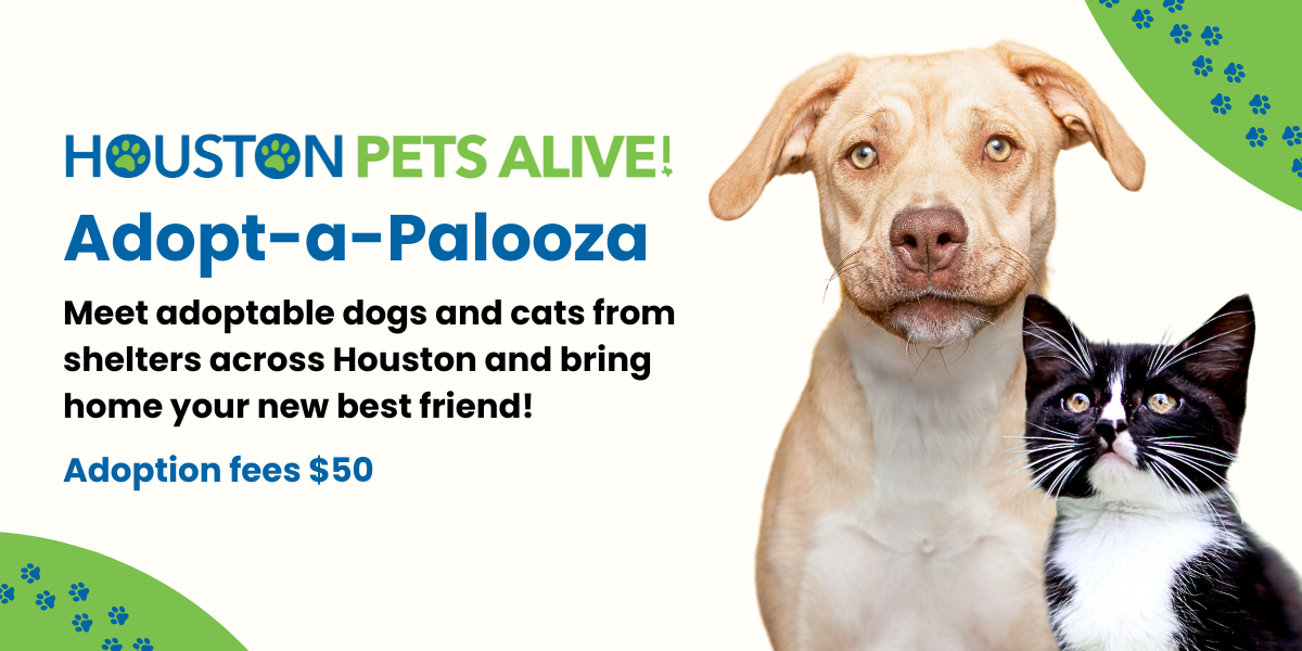 Adopt-a-Palooza - Houston Pets Alive!